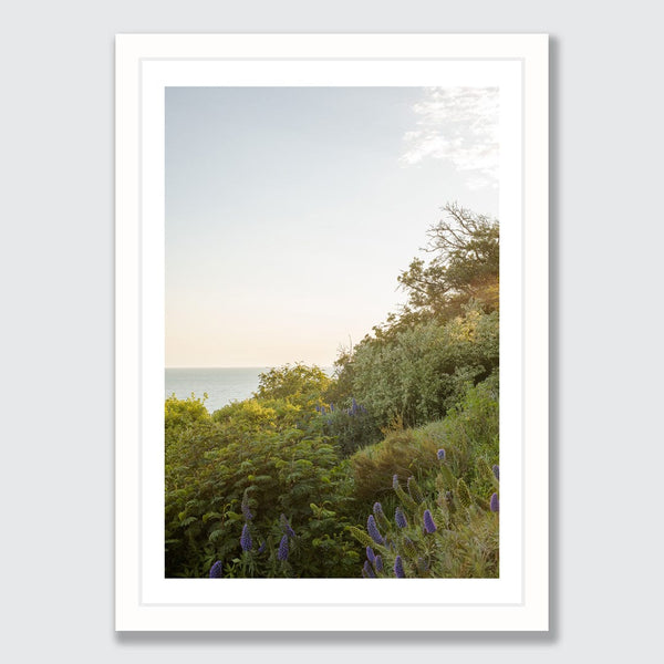 Sumner Spring Photographic Art Print by Charlotte Clements - endemicworld