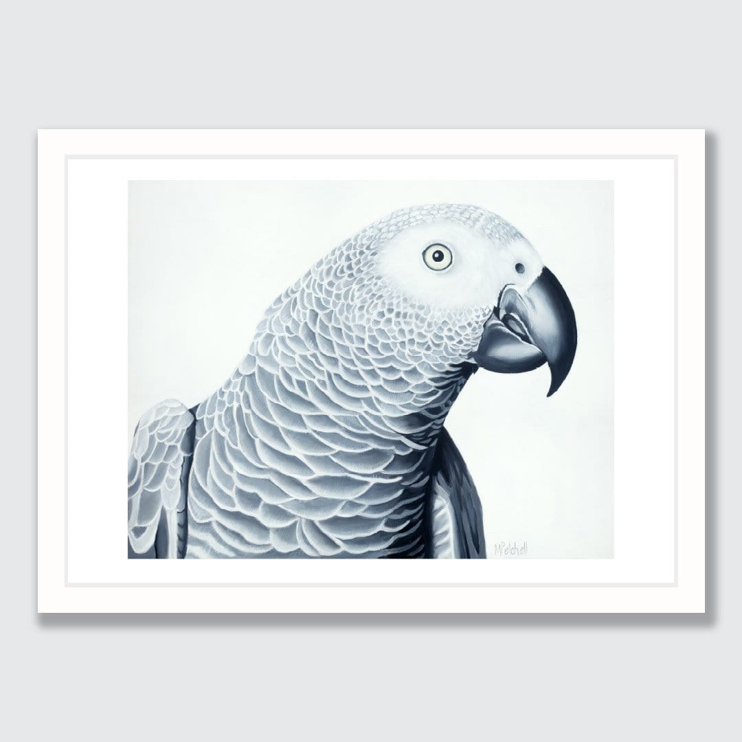 African Grey Parrot Drawing How To Draw An African Grey, African Grey