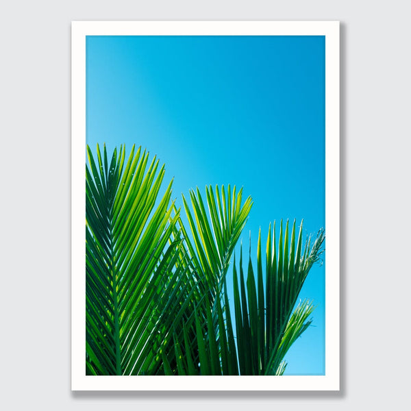 Kākāriki Nikau Photographic Art Print by Elliot Alexander - endemicworld